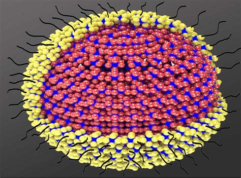 What Is Quantum Dots