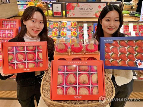 롯데백화점 신품종 신데렐라 딸기 비타베리 산지 직송 판매 연합뉴스
