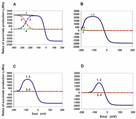 Computer Simulated Dependence Of The Steady State Rate Of Succinate Download Scientific Diagram