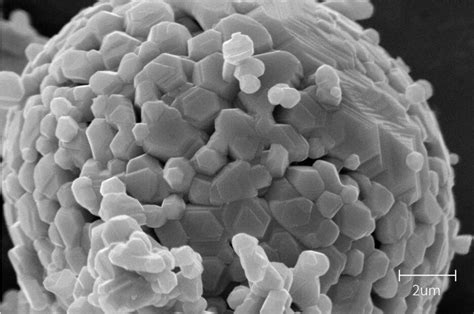 Tungsten Filament Sem Sem3200 Suppliers Tungsten Filament Sem Sem3200 Manufacturers Tungsten