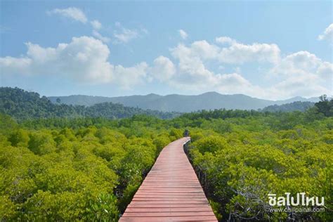 5 ที่เที่ยวตราดที่ไม่ได้มีดีแค่ทะเลสวย ชิลไปไหน