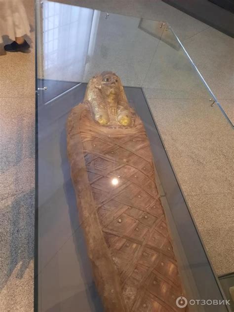 Отзыв о Египетская экспозиция Государственного Музея Изобразительных Искусств им А С Пушкина