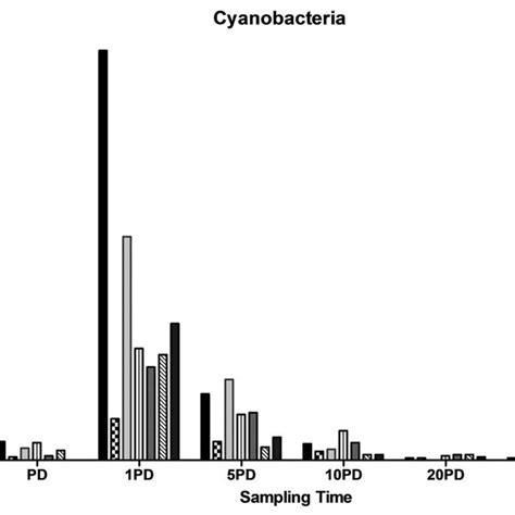 Cyanobacteria Spatio Temporal Variation In Sites Control C1 And C2