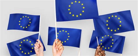 What Obligations Apply To Cellular Functions And Utilization Codesanitize