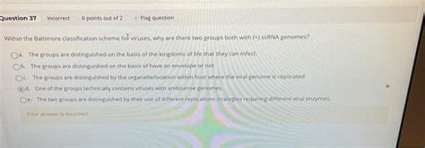 Solved Within The Baltimore Classification Scheme Foi