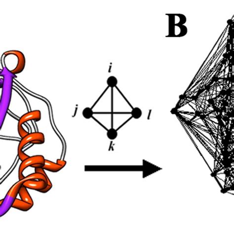E Coli Thymidylate Synthase Ts Structure Function Correlation C Nc Download Scientific