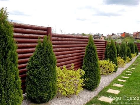 Сади Едема Ландшафтний дизайн Львівська область Идеи озеленения Озеленение вдоль забора