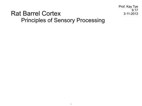 Pdf 9 17 Lecture 6 Rat Barrel Cortex Principles Of Sensory · Rat Barrel Cortex