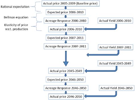 The Dynamic Simulation Process Illustrated With Specific Years Download Scientific Diagram