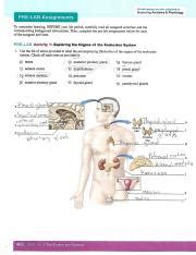 Maximize Learning With Pre Lab Assignments For Exploring The Course Hero