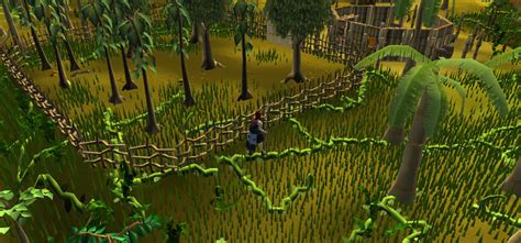 What Are The Best Mahogany Tree Spots In OSRS FandomSpot