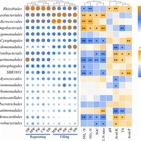 Relative Abundance Of The Bacterial Abundant Orders Average Relative