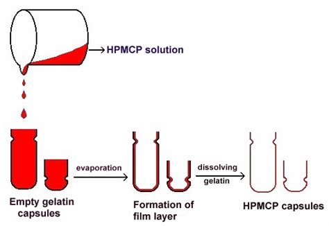 Shematic Representation Of The Preparation Of Hpmcp Capsules