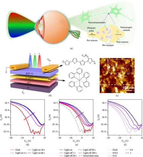 Optoelectronic Perovskite Synapses For Neuromorphic Computing At Rocio