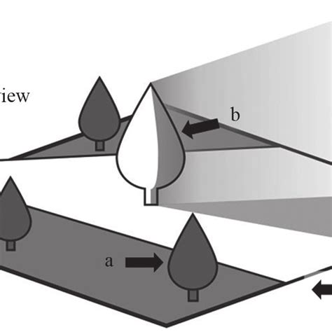 The 3 Types Of Occlusion Problems A View Occlusion B Self Download Scientific Diagram