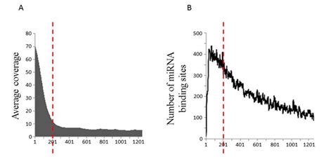 Identification Of Non Coding Variants In Exome Sequencing Data A Download Scientific Diagram