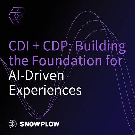 Snowplow On Linkedin Customerdata Datainfrastructure Ai Digitaltransformation