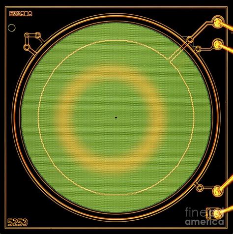 Smartphone Mems Microphone Photograph By Gerd Guenther Science Photo Library Fine Art America