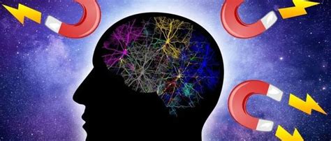 Rt Tep工具：实时显示tms诱发电位，最大化皮层激活和最小化伪影 知乎