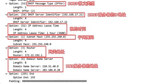 Wireshark抓包分析理解DHCP协议及工作流程 mingkai 博客园