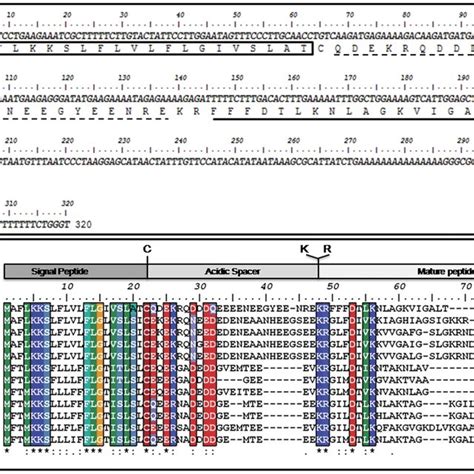 one single gene encoding phes peptide a nucleotide sequences of