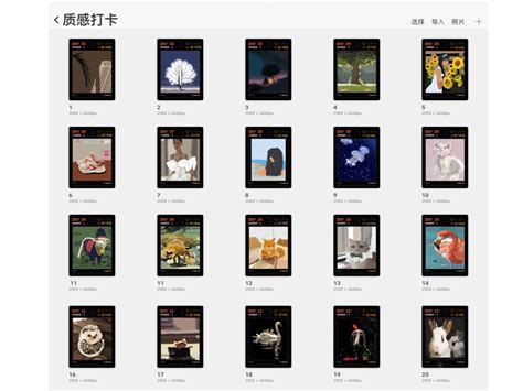 质感插画打卡挑战 总结 豆丁的豆 站酷ZCOOL