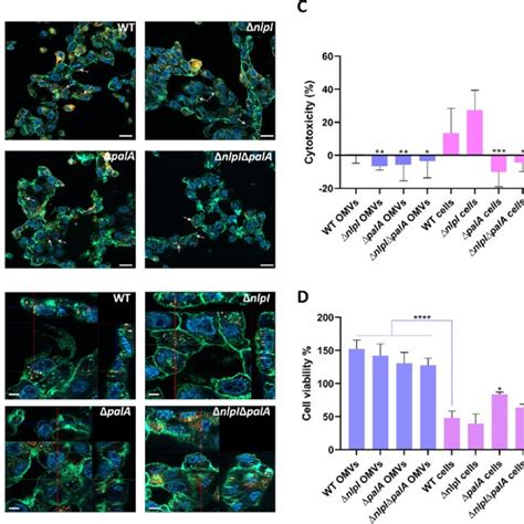 Heat Map Showing The Log 2 Transformation Of Relative Quantification