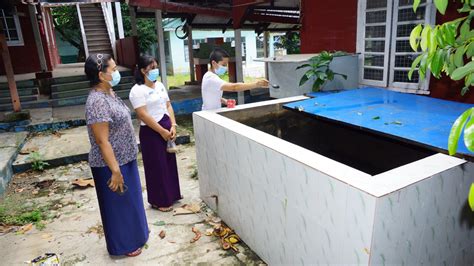 တာမွေမြို့နယ်အတွင်းရှိ အခြေခံပညာကျောင်းများ၌ သွေးလွန်တုပ်ကွေးရောဂါ ကြိုတင်ကာကွယ်ရေးလုပ်ငန်းများ