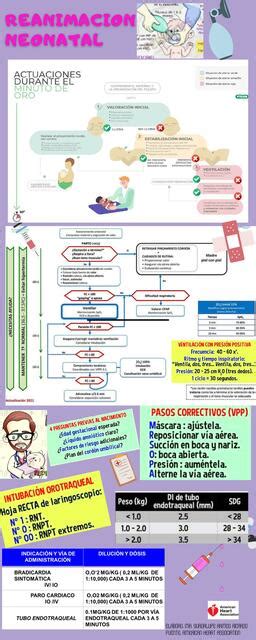 Reanimación Neonatal Ramric Mgpe uDocz