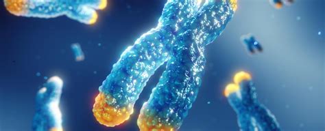 Teloseq 12 Plex Human And Cow Cell Lines Epi2me Blog
