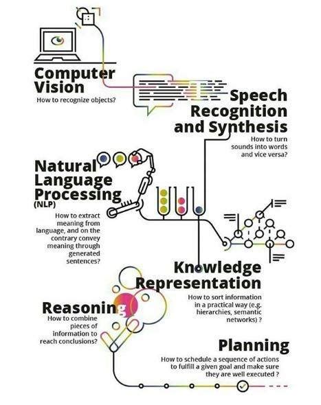 Coding School Here A Diagram Explaining The Core Domains