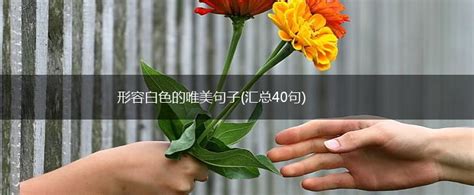 形容白色的唯美句子 汇总40句