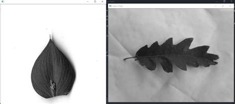 Python Image Comparison With Cv2matchshapes Stack Overflow