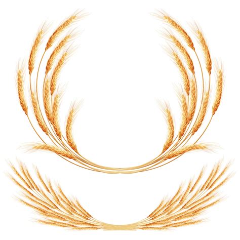 Conjunto De Espigas Detalladas Vector Premium