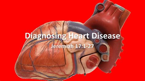 Diagnosing Heart Disease Evergreen Baptist Church