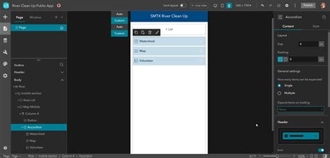 Accordion Widget Expand Items On Loading Esri Community