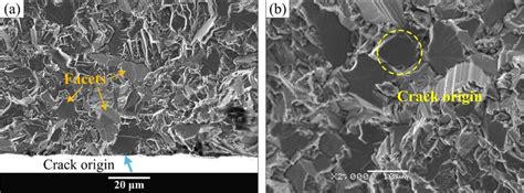 Typical Fatigue Fracture Surface Sem Morphology Of Bimodal Download Scientific Diagram