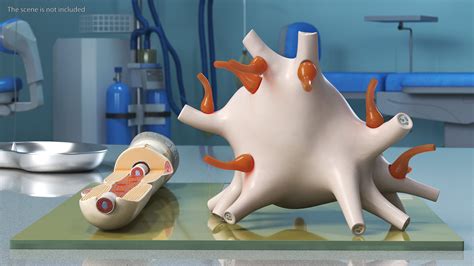 Human Neuron Model Cross Section On Stand 3d Model 49 3ds Blend