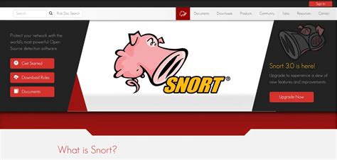 20 Best Automation Tools For Devops In 2024