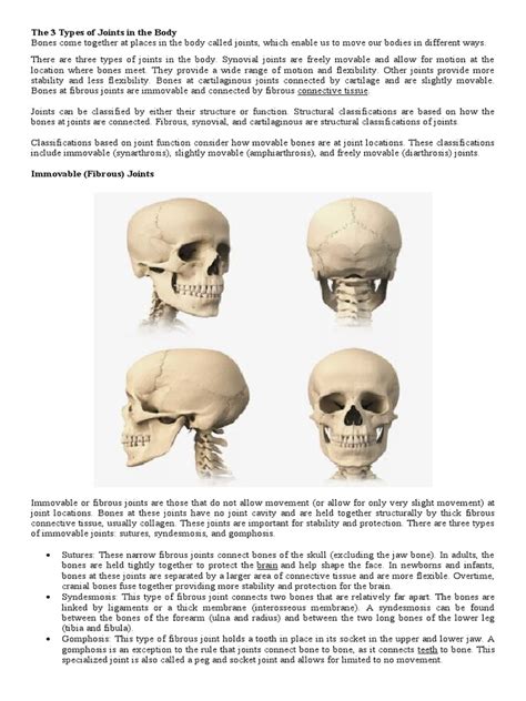 Three Types Of Fibrous Joints