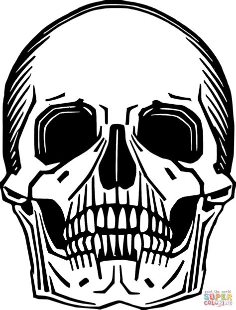 빈티지 메멘토 모리 해골 색칠하기