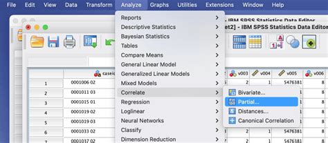 Spss Tutorial 12 Partial Correlation Analysis In Spss Resourceful Scholars Hub