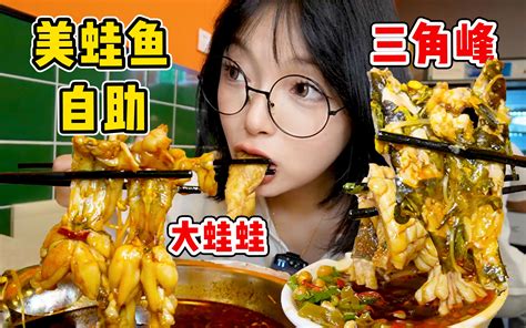 没吃饱的一顿美蛙鱼自助今日mvp：豇豆稀饭！ 吃货圆圈圈 吃货圆圈圈 哔哩哔哩视频
