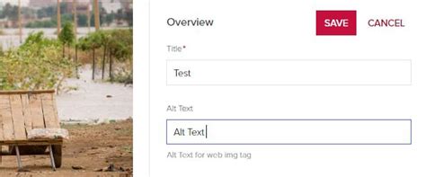 Manish Yadav On Linkedin Fetching Content Hub Media Public Url And Alt Text On Frontend Page