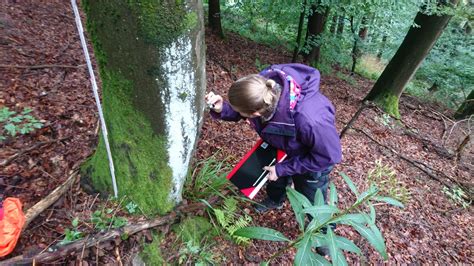 B1 Epiphyte And Microhabitat Diversity — Research Training Group Confobi