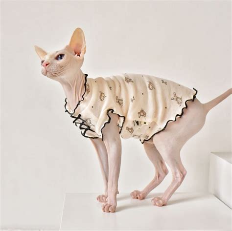 Sphynx Hairless Cat Clothes Little Bear Sleeveless Shirt For Sphynx Cat