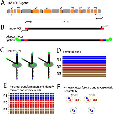 Nanopore Differential Gene Expression At Neida Tracy Blog