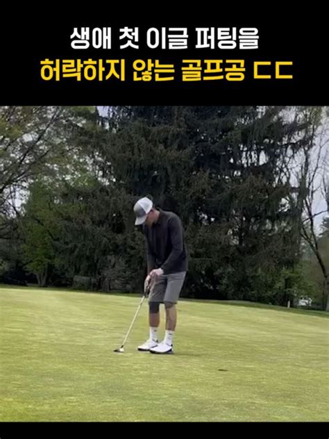골프팁 놀랍지만 실제 댓글임 골프 골프스타그램 골프사랑 골프중독 골린이 골프스윙 밈 골프 골프웨어 프로골퍼 골프선수 골프레슨 인스타골프 골프스타