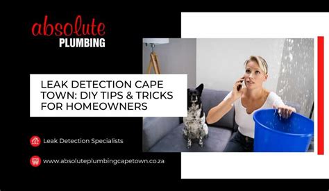 Leak Detection Cape Town Diy Tips And Tricks For Homeowners