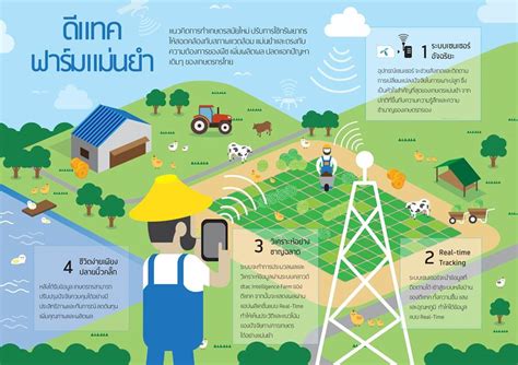 Infographic Iot Smart Farm เกษตรแม่นยำสูง เกษตรแม่นยำ พลังเกษตร Com
